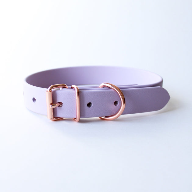 Lavender - Classic Biothane Collar – Little Woof Pup Co