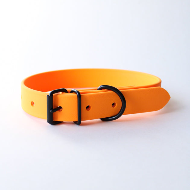 Orange - Classic Biothane Collar – Little Woof Pup Co
